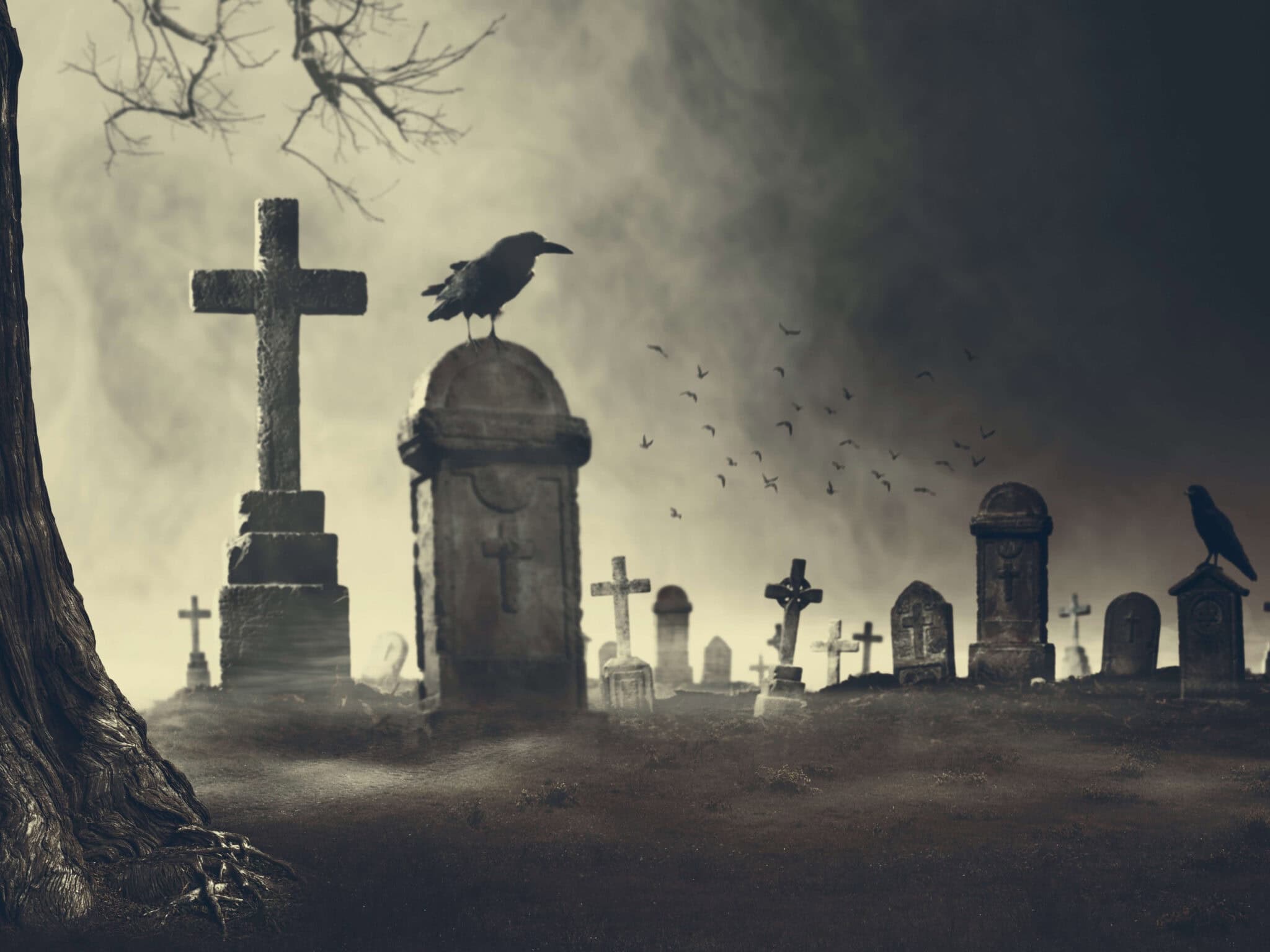 Halloween Horrors: Tales from the Campaign Graveyard 👻